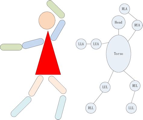 1 Tree Structured Relation Graph As Shown In 1 Human Pose Can Be Download Scientific Diagram