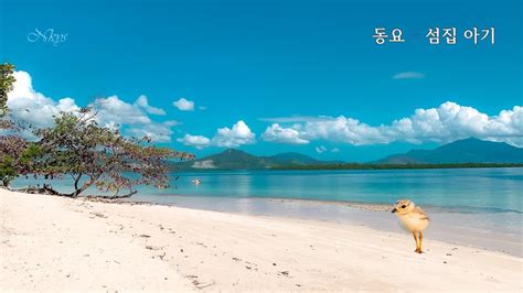 동요 섬집 아기 Youtube