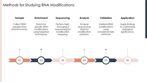 Exploring Epitranscriptomics Unraveling Rna Modifications And Their Impacts Ppt Sample St Ai Ppt