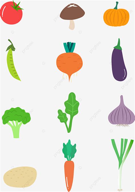 양파 양파 야채 야채 클립 아트 양파 파 Png 일러스트 및 이미지 에 대한 무료 다운로드 Pngtree