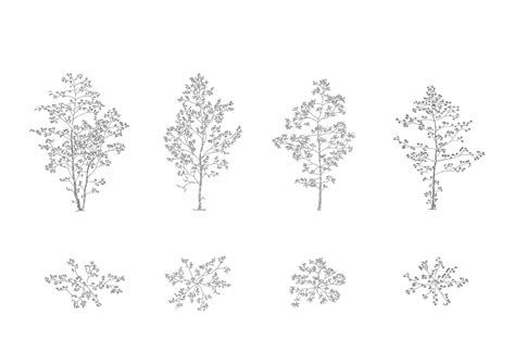 Deciduous Trees Dwg Cad Blocks In Plan And Elevation 30 Pieces