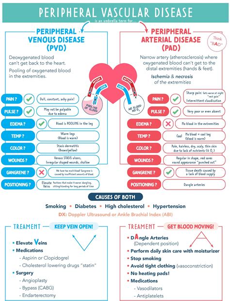 Peripheral Vascular Disease Pvd And Pad Causes Symptoms Diagnosis