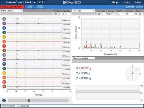 Widget Playback Functionality Issue Openbci Openbci Gui Github