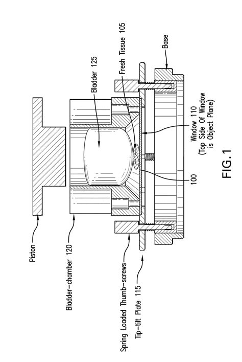 Devices Applicable To Tissues Which Facilitates Confocal Microscopy