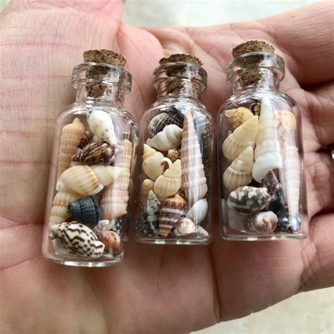 Mini Glass Jars With Tiny Sea Shells In 2025 Mini Glass Jars Shell