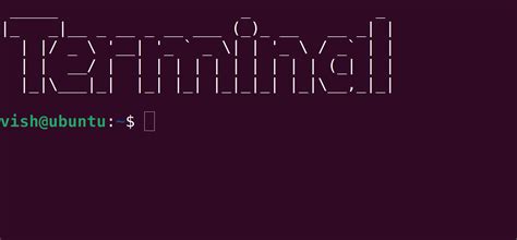 Beginners Guide To Using The Ubuntu Terminal Factober