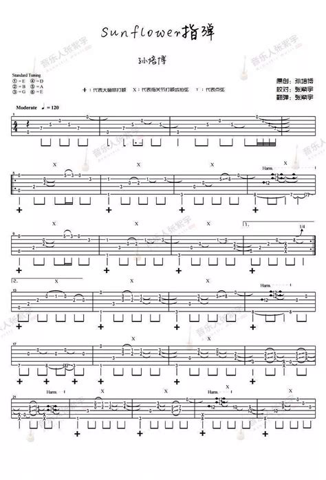 Sunflower吉他指弹谱孙培博吉他指弹演示视频 吉他堂