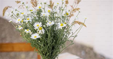 야외에서 자연 보호 스타일의 나무 테이블을 아름답게 제공합니다 들판 꽃 요리 및 신선한 음식으로 장식 된 식탁 사진