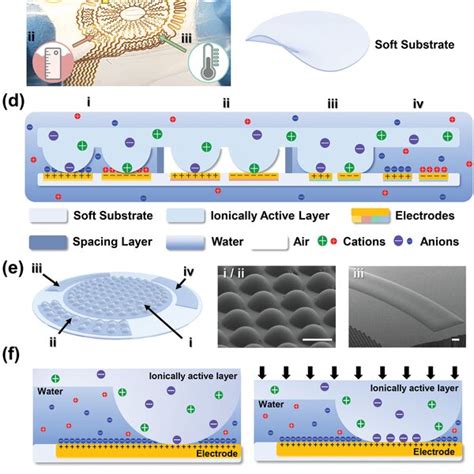 Multi‐modality Tactile Sensing For Underwater Robotics Photographs Of Download Scientific