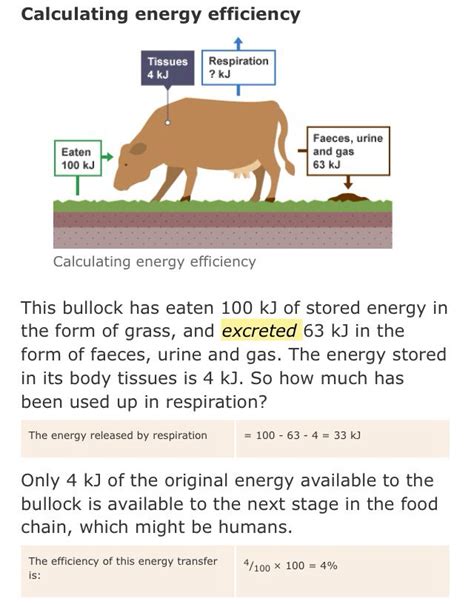 Calculating Energy Efficiency Energy Efficiency Aqa Energy