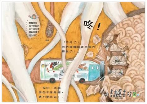 雨蛙生態旅行團 地下探險之旅 小書蟲童書坊 繪本的家