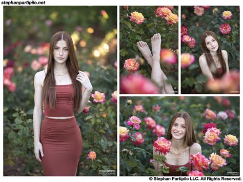 Stephan Partipilø Annika X Golden Hour Summer Rose Garden By Stephan Partipilo