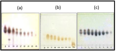 Profiles Of Tlc Chromatogram Of Recolumn Fractions A Fraction D Download Scientific