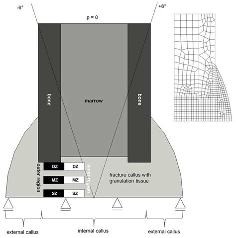Schematic Of Geometry Boundary Conditions And Initial State Of