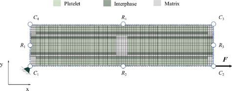 schematic description of periodic boundary condition loading and mesh