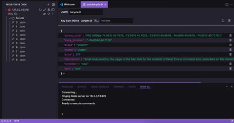 Redis For Vs Code Docs