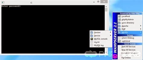 Wampserver 20 ~ Software Training And Tricks