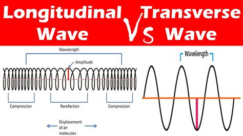 Transverse And Longitudinal Differences