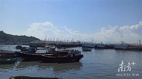 台风马鞍趋向广东沿海闸坡渔船陆续回港避风 台风马鞍或正面登陆广东 工作 防御