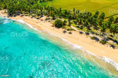 코코넛 야자수 배경열대 여름 해변 공중 무인 항공기 목가적 인 청록색 바다 휴가 배경 도미니카 공화국 0명에 대한 스톡 사진 및 기타 이미지 Istock