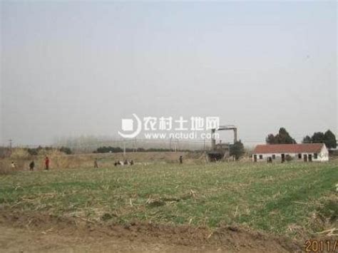 上海崇明县新河镇新光村荒地出租 农村土地网