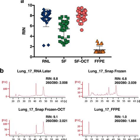 Rna Quality Assessment By Rna Integrity Number Rin A Rin Values