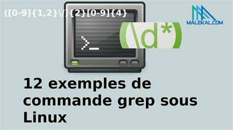 12 Exemples De Commande Grep Sous Linux