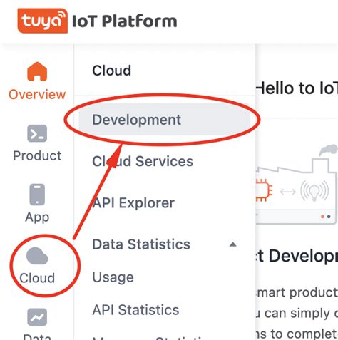Switching Wifi Devices Does Not Work