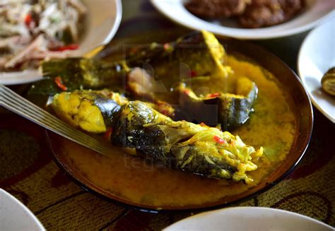Ikan Baung Menu Istimewa Bawah Tasik Trdi News