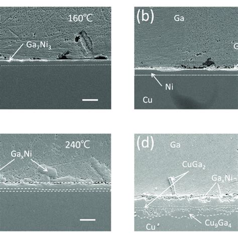 Cross Sectional Sem Micrographs Of The Cuniau Ga Interfaces After 30