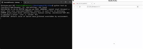 Libgstapp Shared Libraries Not Available On Wsl2 · Issue 670 · Flet Devflet · Github