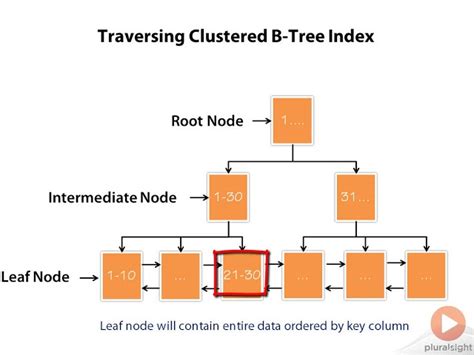 b tree and b tree diagram explained