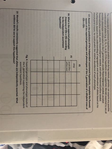 Solved The Independent Assortment Hypothesis Predicts That