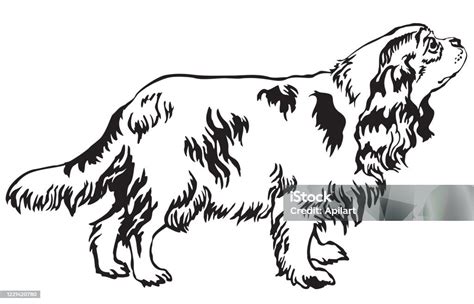 개 카발리에 킹 찰스 스패니얼 벡터 일러스트의 장식 서 초상화 0명에 대한 스톡 벡터 아트 및 기타 이미지 0명 가축