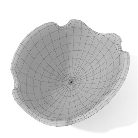 Turtle Shell 3d Model