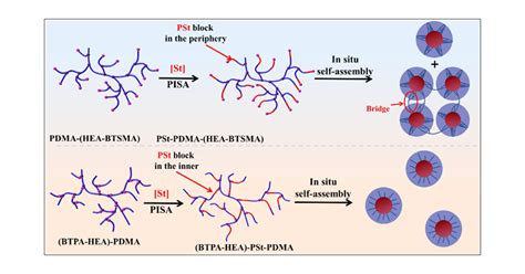 Efficient Synthesis And Self Assembly Of Segmented Hyperbranched Block