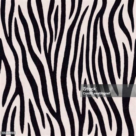 얼룩말 스트라이프 매끄러운 패턴 끝없는 흑백 배경 래스터 일러스트레이션 솔기없는 무늬에 대한 스톡 사진 및 기타 이미지 솔기없는 무늬 얼룩말 0명 Istock