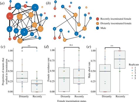 Sexual Conflict And Sexual Networks In Bed Bugs The Fitness Cost Of
