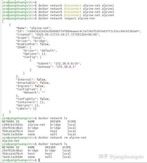Docker的网络管理 知乎