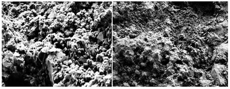 Processes Free Full Text Experimental And Numerical Simulations Of Pore Structures And