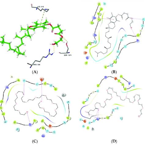 Molecular Interactions Of Peg And Tpgs With P Gp Atp Binding Site A