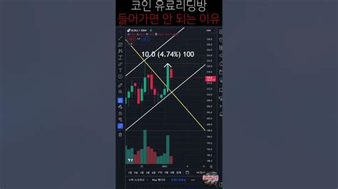 영상 좋아요를 누르면 24년도에 졸부가 될겁니다 도지코인 비트코인캐시 비트코인 암호화폐 이더리움 코인 가상