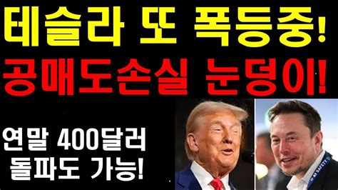 테슬라 또 폭등중 공매도 숏스퀴즈 무려 6조원 손실중 이번주 350달러 돌파후 400달러 넘볼듯 연말안에 전고점 돌파하나