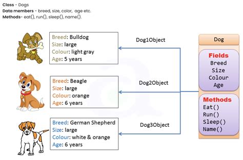 Week 1 Review Thartmanoftheredwoods Wiki