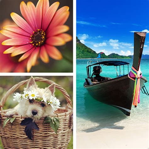 Femefun Com Apk Android App