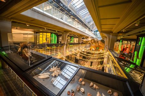 Gallery Sneak Peek Of £15m Manchester Museum Revamp Place North West