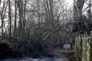 Caution Still Urged As Storm Éowyn Passes The Clare Herald