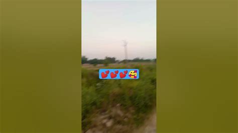 Har Pal Dua Mein Tujhe Manga Karunshort Hindi Song Youtube