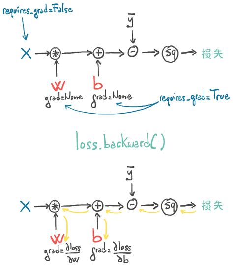 Pytorch自动求导：反向传播的一切 知乎
