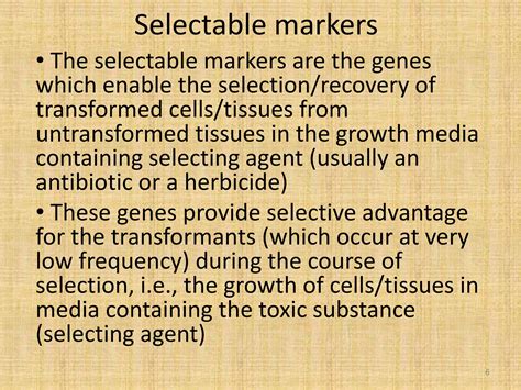 Markers And Reporter Genes Pptx